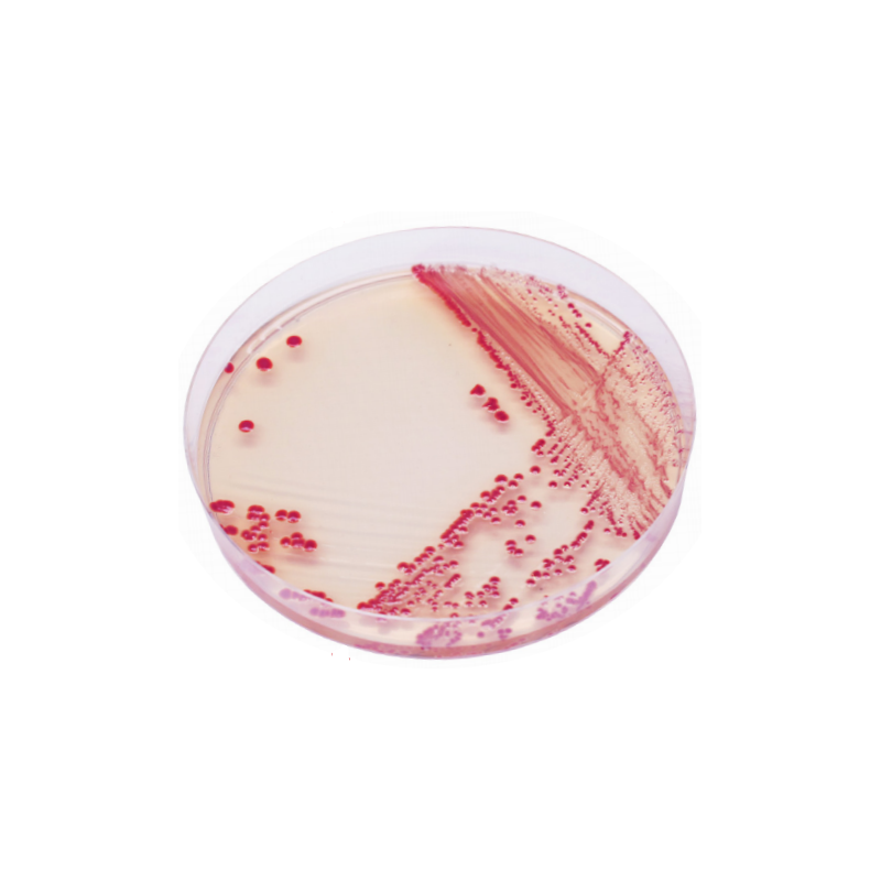CHROMagar Acinetobacter (5L) CHROMagar Acinetobacter (5L)