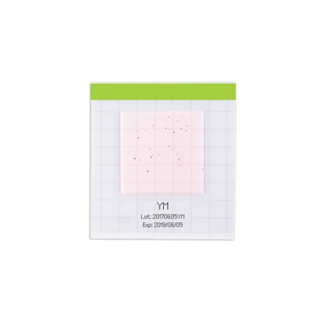 MC-Media Pad Hongos y Levaduras