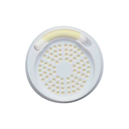 Simplate Hongos y Levaduras