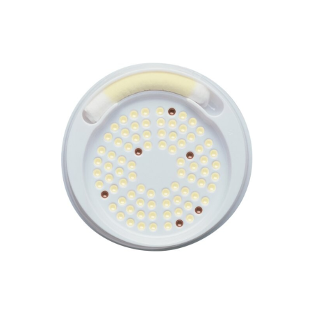 Simplate Campylobacter